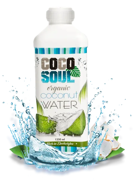 PRODUCTS - Organic Coco Soul